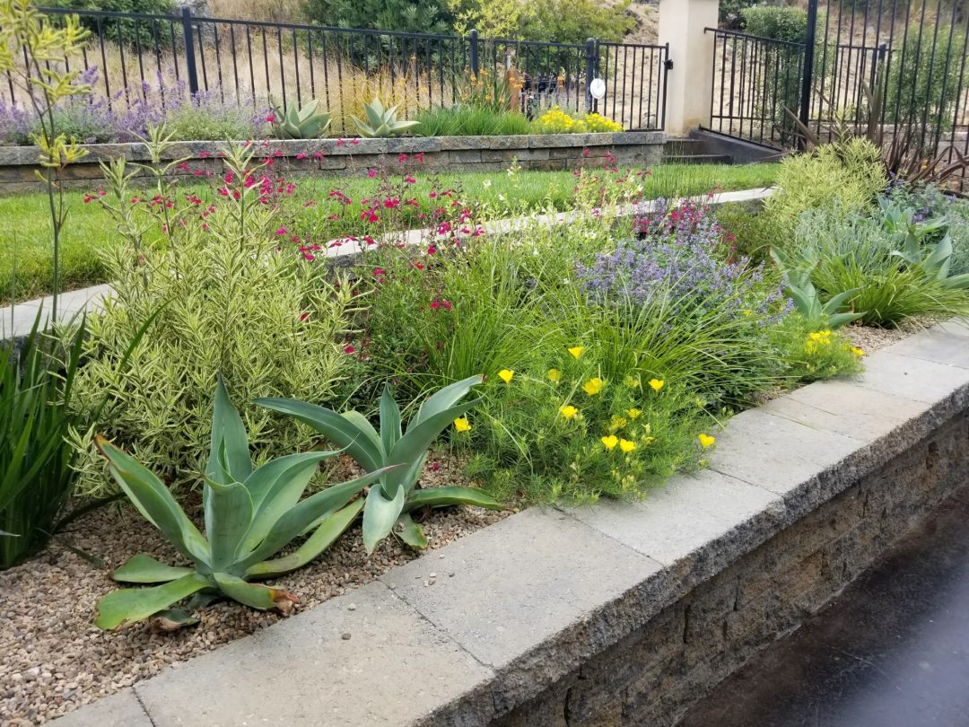 Landscape Architecture – Residential | RRM