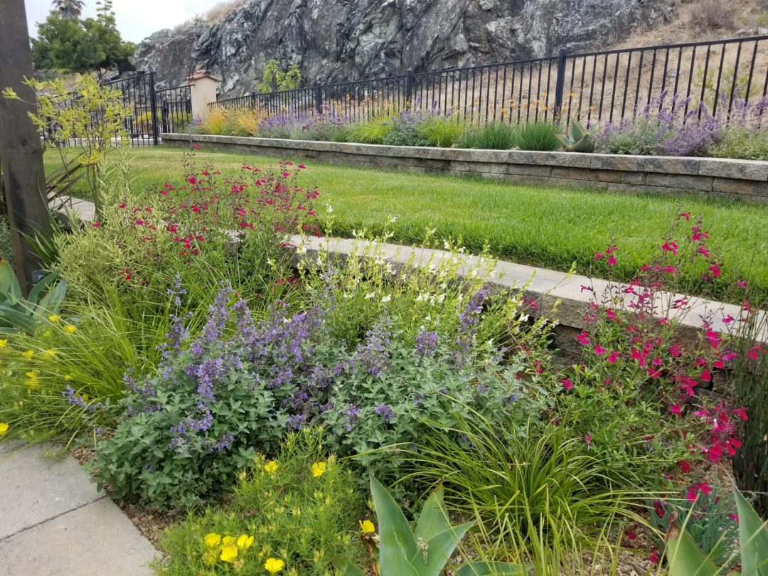 Landscape Architecture – Residential | RRM